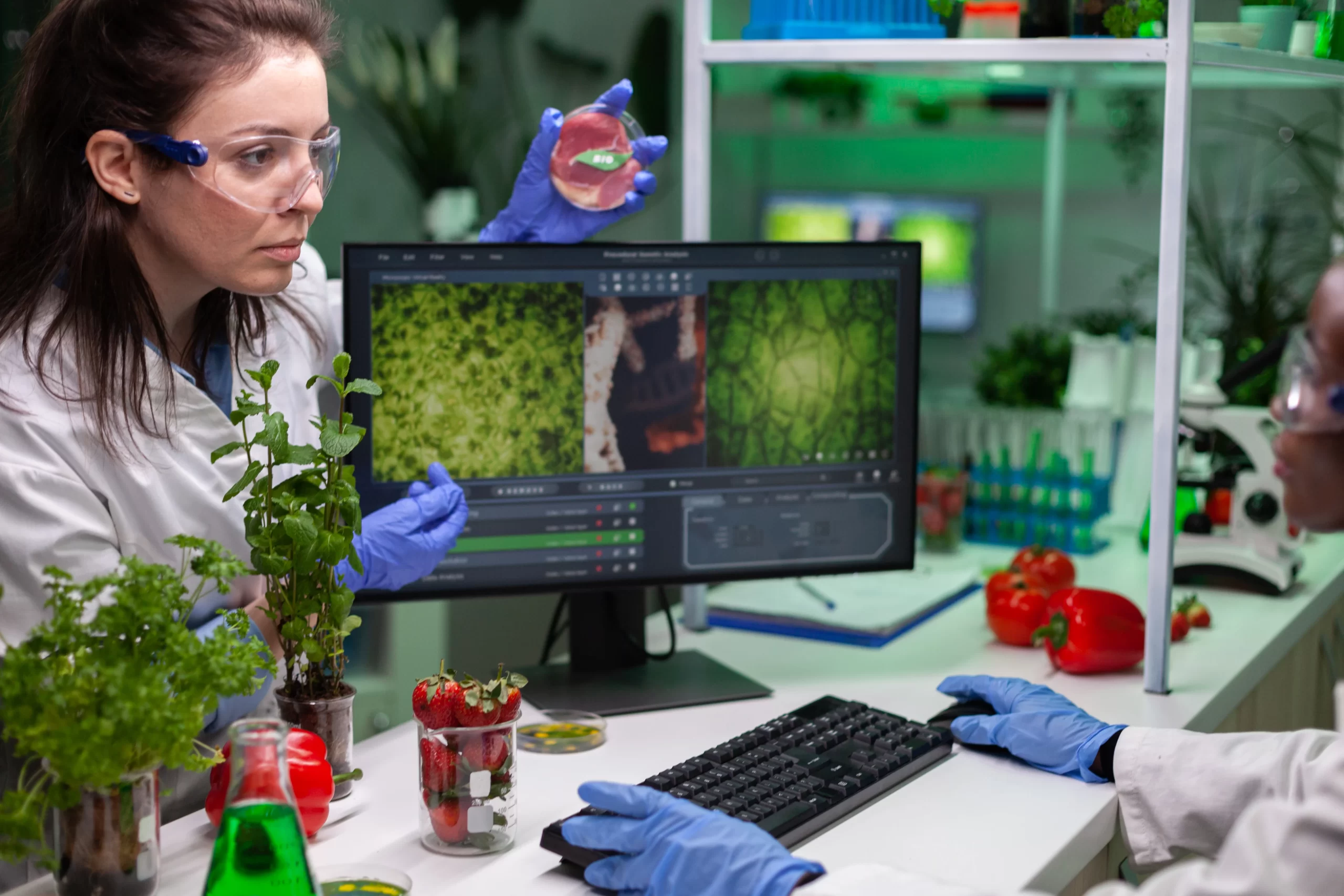 Test Automation Case Study | Canada Cannabis eCommerce Portal